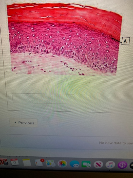 Solved 20 A Previous No new data to say c | Chegg.com