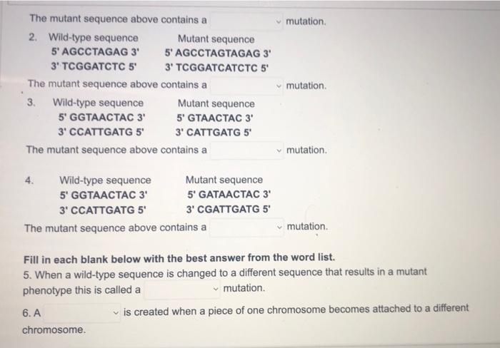 Solved Below a wild-type sequence is compared to a mutation | Chegg.com