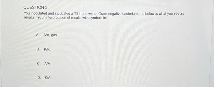 Solved QUESTION 5 You inoculated and incubated a TSI tube | Chegg.com