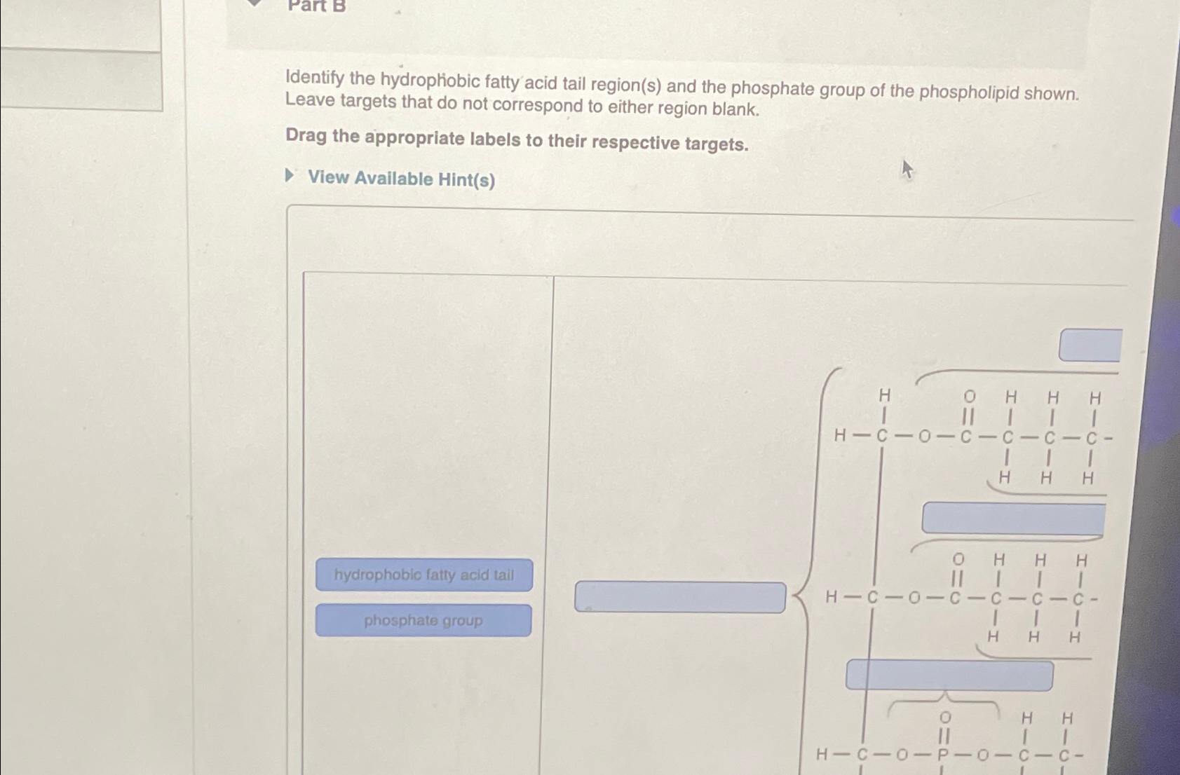 Solved Identify the hydrophobic fatty acid tail region(s) | Chegg.com