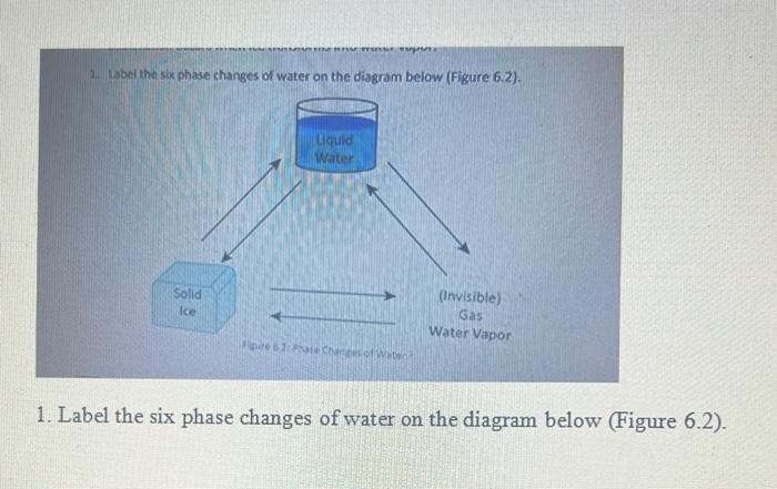 Solved 7. Wabel the six phase changes of water on the | Chegg.com