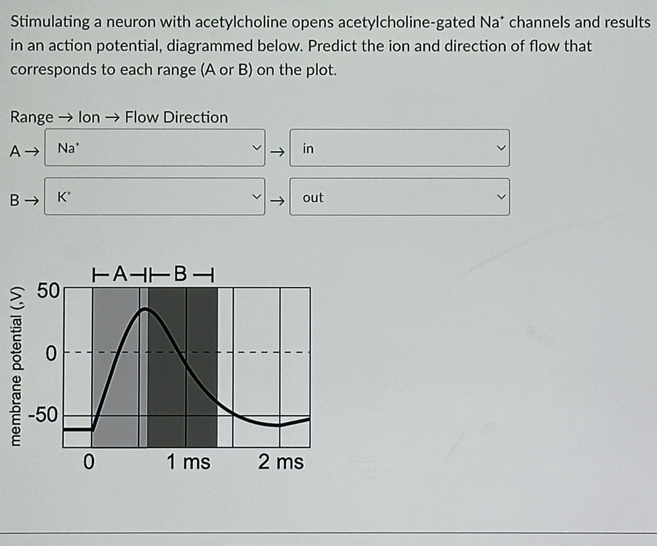 Solved Stimulating a neuron with acetylcholine opens | Chegg.com