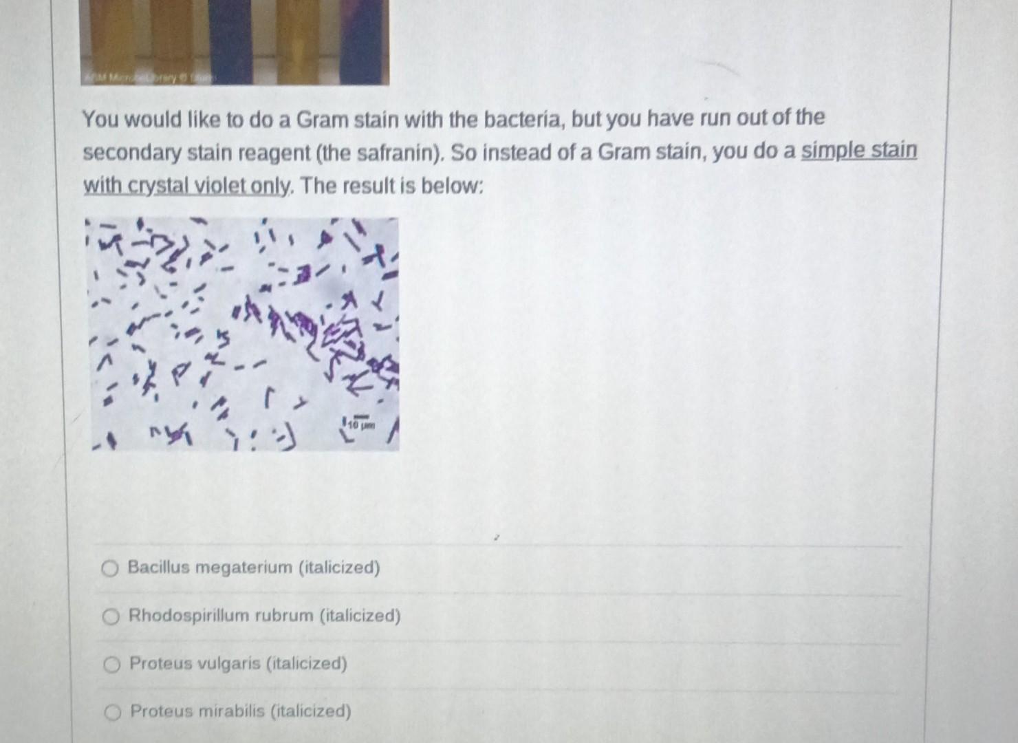 Solved You perform several tests on an unidentified | Chegg.com