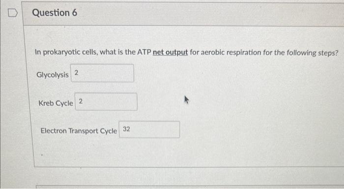 Solved In prokaryotic cells, what is the ATP net output for | Chegg.com