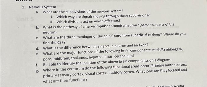 Solved 1. Nervous System a. What are the subdivisions of the | Chegg.com