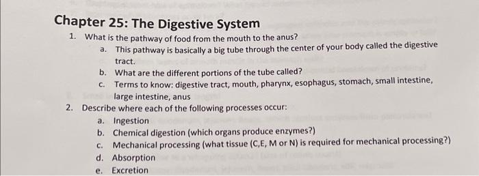 Solved Chapter 25: The Digestive System 1. What is the | Chegg.com