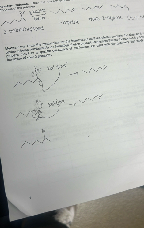 Solved zeaction Scheme: Draw the reaction products of the | Chegg.com