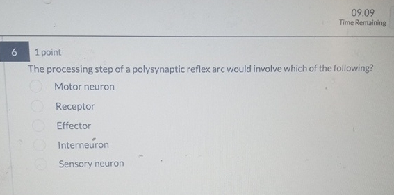 Solved 09:09Time Remaining61 ﻿pointThe processing step of a | Chegg.com