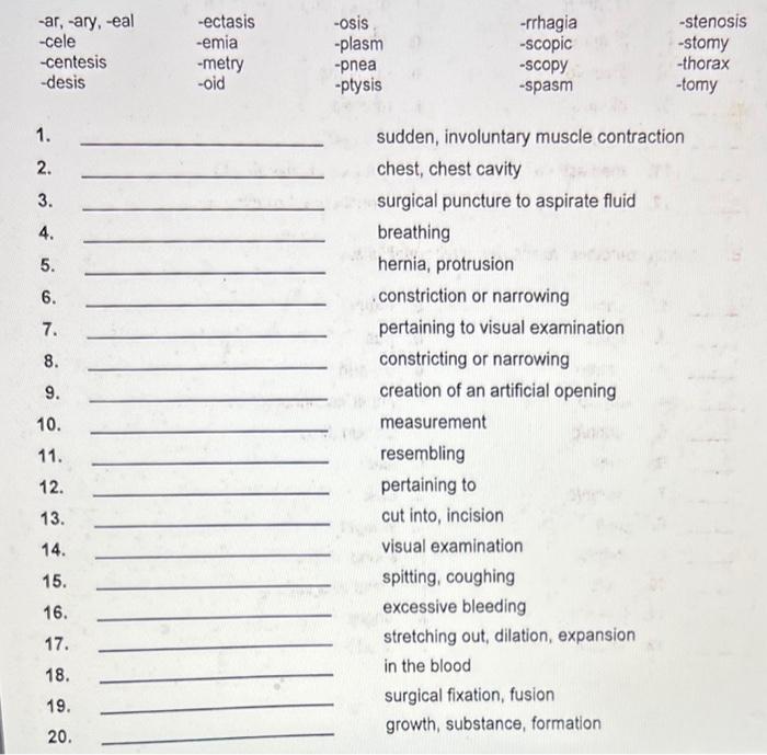 Solved Match prefixes with their definitions. 1. poly- a. | Chegg.com