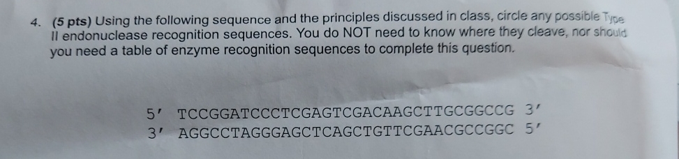 Solved (5 ﻿pts) ﻿Using the following sequence and the | Chegg.com