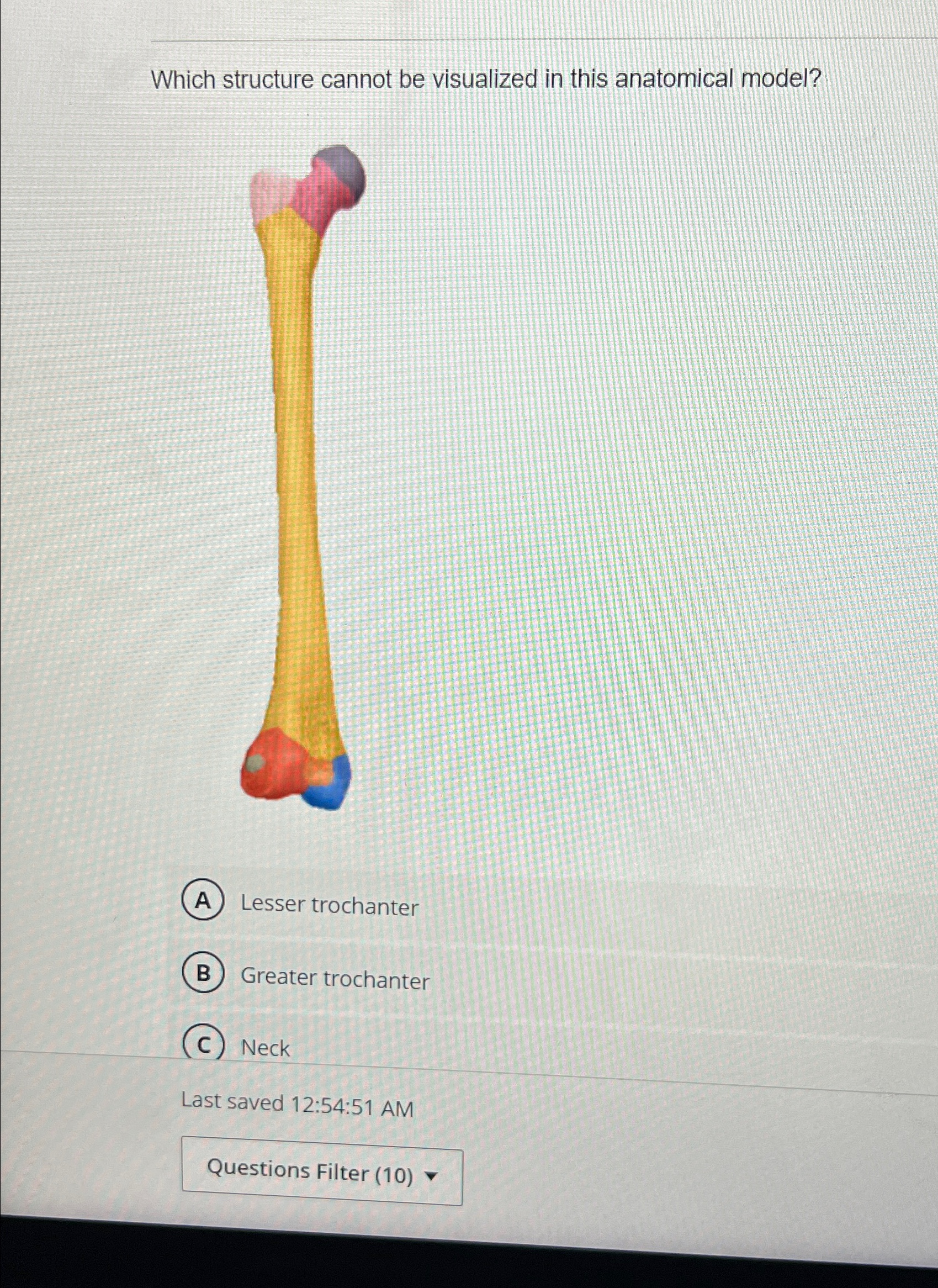 Solved Which structure cannot be visualized in this | Chegg.com