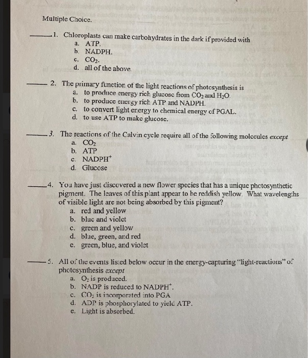 Solved Multiple Choice. .1. Chloroplasts can make | Chegg.com