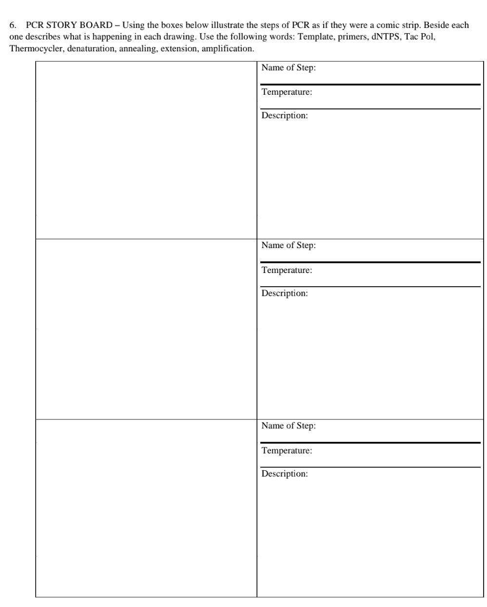 Solved 6. PCR STORY BOARD - Using the boxes below illustrate | Chegg.com