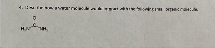 Solved 4. Describe how a water molecule would interact with | Chegg.com