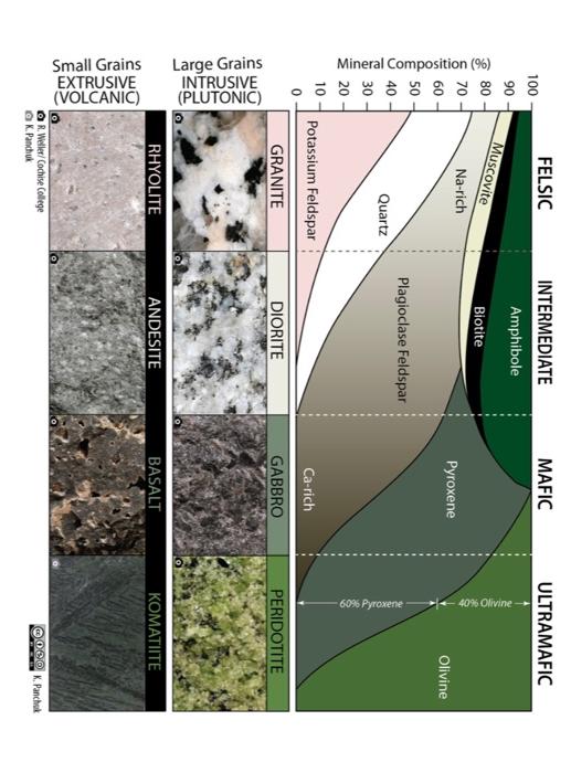 Solved \begin{tabular}{|l|l|l|l|l|l|} \hline Name & | Chegg.com