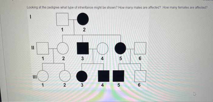 Solved Looking at the pedigree what type of inheritance | Chegg.com