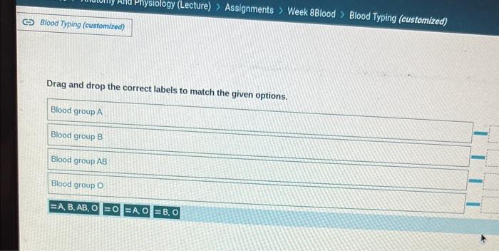 Solved Drag and drop the correct labels to match the niven | Chegg.com