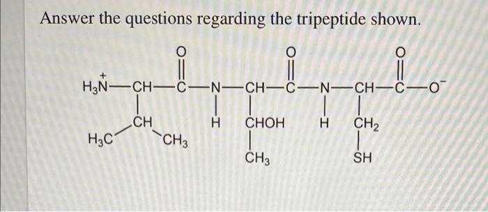 Solved Draw the individual amino acids that form this | Chegg.com