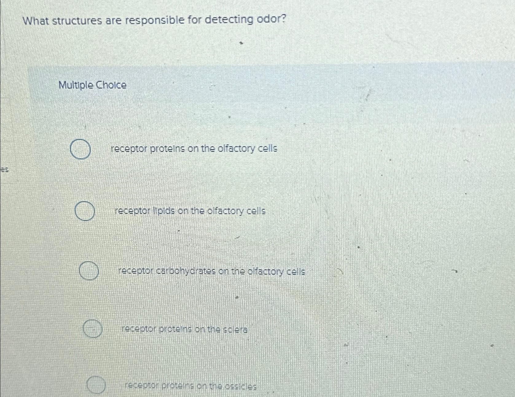 Solved What structures are responsible for detecting | Chegg.com