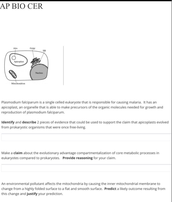 Solved AP BIO CER Gold Apicoplas Nucles Misterio Plasmodium | Chegg.com