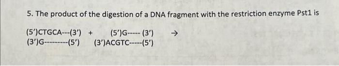 Solved 5. The product of the digestion of a DNA fragment | Chegg.com