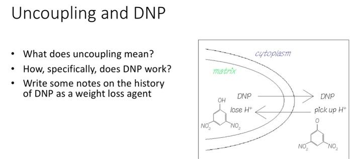 Solved Uncoupling and DNP . cytoplasm What does uncoupling | Chegg.com