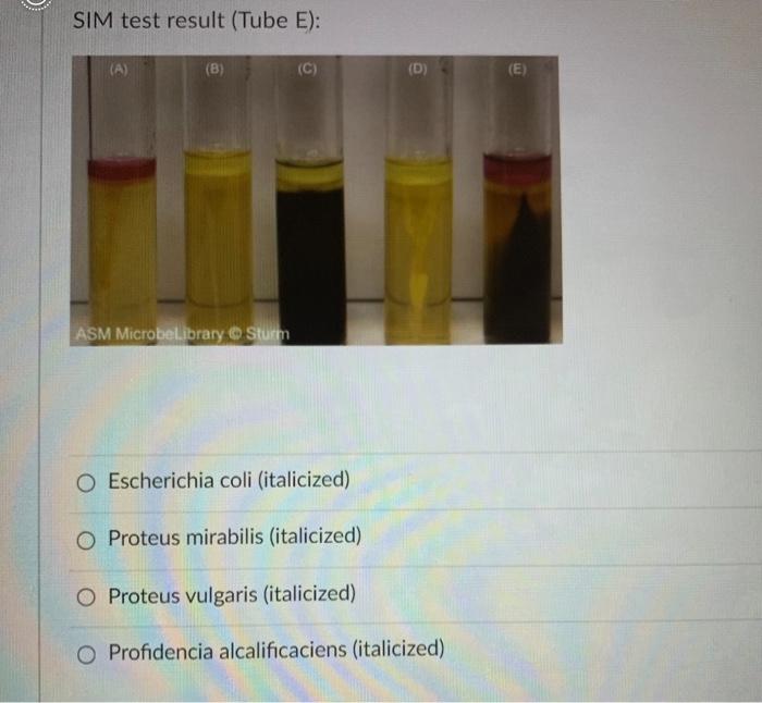 You perform several tests on an unidentified | Chegg.com