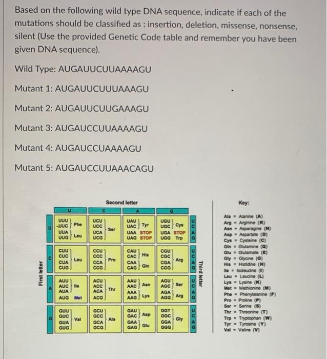 Solved Based on the following wild type DNA sequence, | Chegg.com
