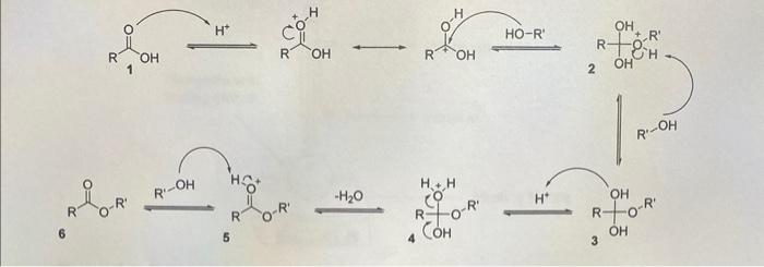 Solved CHEMICAL ANALYSIS FOR ISOPENTYL ACETATE this will be | Chegg.com