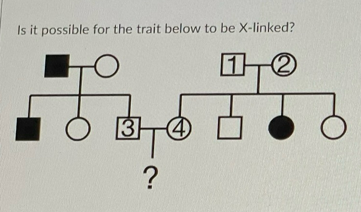 Solved Is it possible for the trait below to be X-linked?Yes | Chegg.com