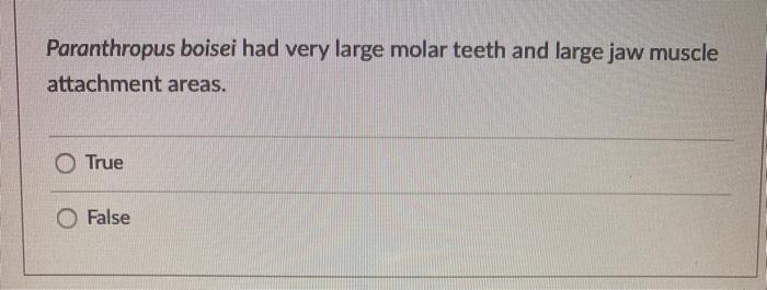 Solved Paranthropus boisei had very large molar teeth and | Chegg.com