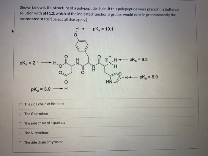 Solved Shown Below Is The Structure Of A Polypeptide Chain Chegg solved-shown-below-is-the-structure-of-a-polypeptide-chain-chegg