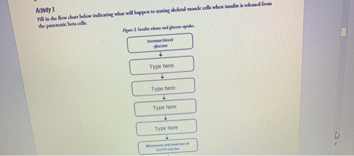 Activity 3 Fill in the flow chart below indicating | Chegg.com