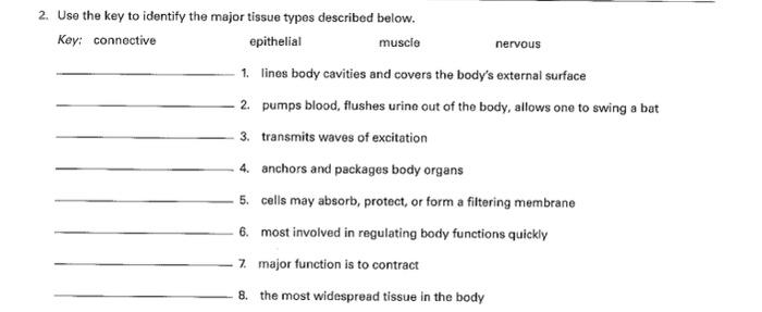Solved 2. Use the key to identify the major tissue types | Chegg.com