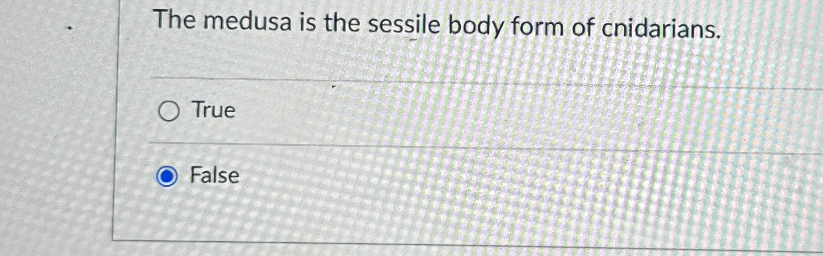 Solved The medusa is the sessile body form of | Chegg.com