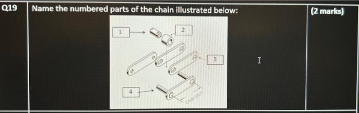 Solved Name the numbered parts of the chain illustrated | Chegg.com