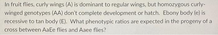 Solved In fruit flies, curly wings (A) is dominant to | Chegg.com