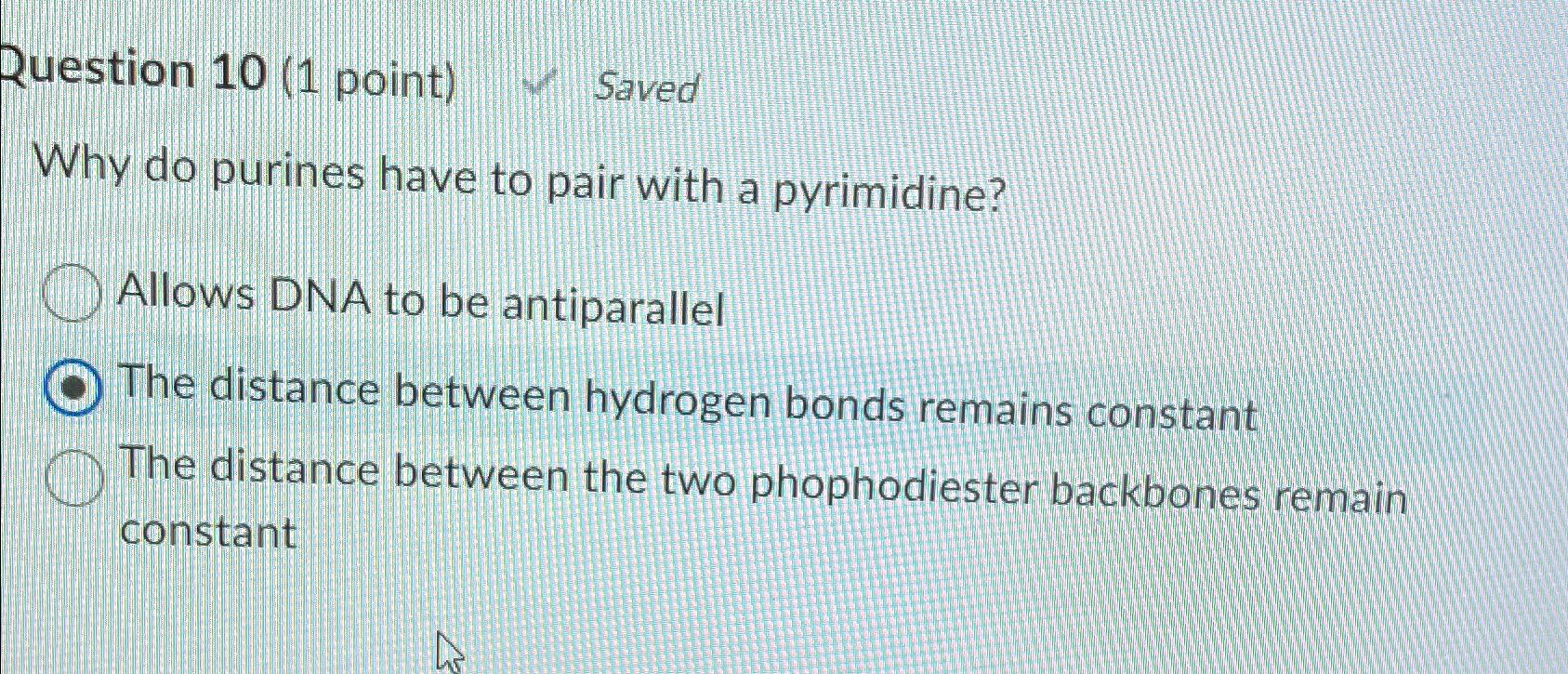 Solved Question 10 (1 ﻿point)SavedWhy do purines have to | Chegg.com