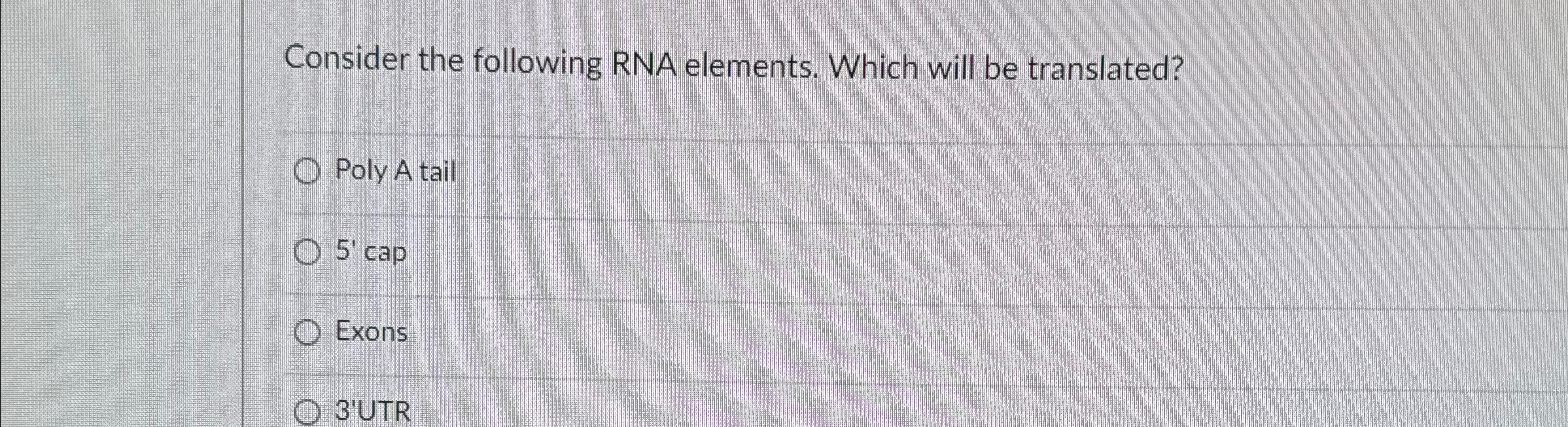 Solved Consider the following RNA elements. Which will be | Chegg.com