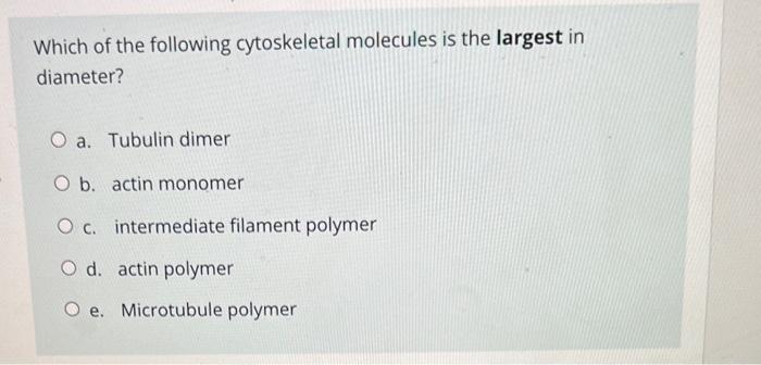 Solved Which of the following cytoskeletal molecules is the | Chegg.com