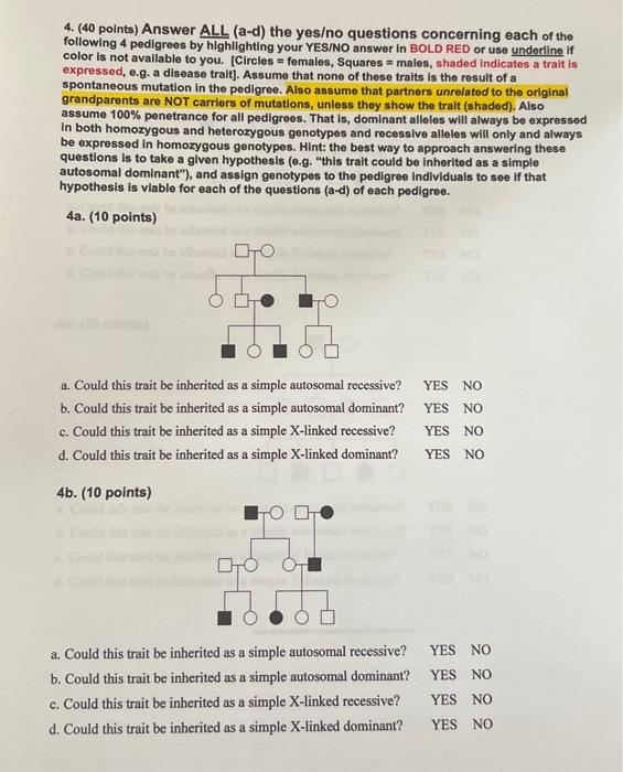 Solved 4. (40 points) Answer ALL (a-d) the yes/no questions | Chegg.com
