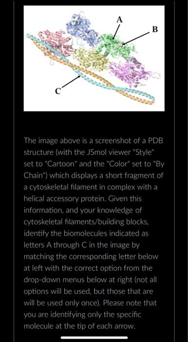 Solved The image above is a screenshot of a PDB structure | Chegg.com