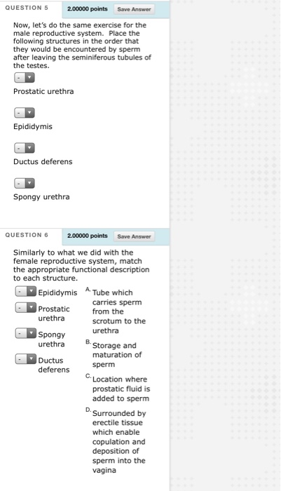 Solved QUESTION 5 2.00000 points Save Answer Now, let's do | Chegg.com