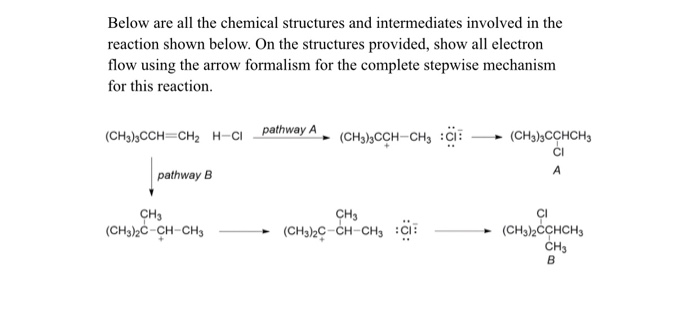 Solved Below are all the chemical structures and | Chegg.com