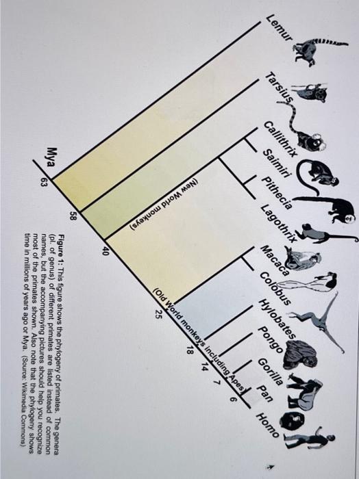 Solved 4. Using only the information in Figure 1, state when | Chegg.com
