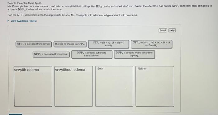 Solved Refer to the entire focus figure Ms. Pineapple has | Chegg.com