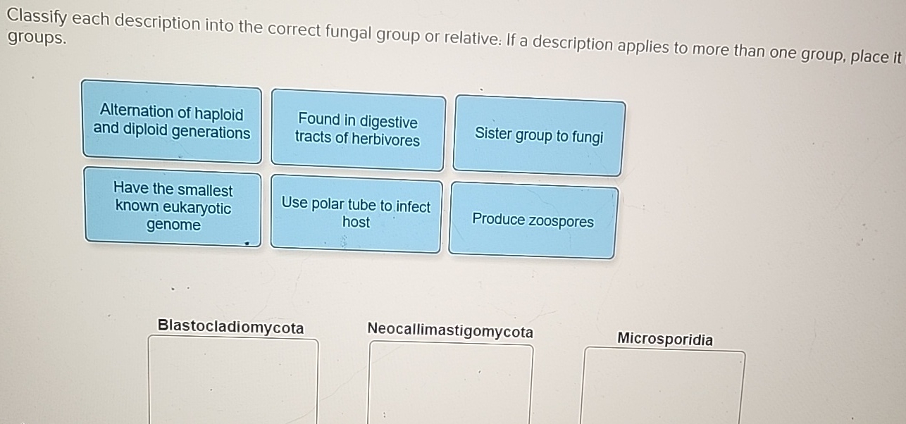 Solved Classify each description into the correct fungal | Chegg.com