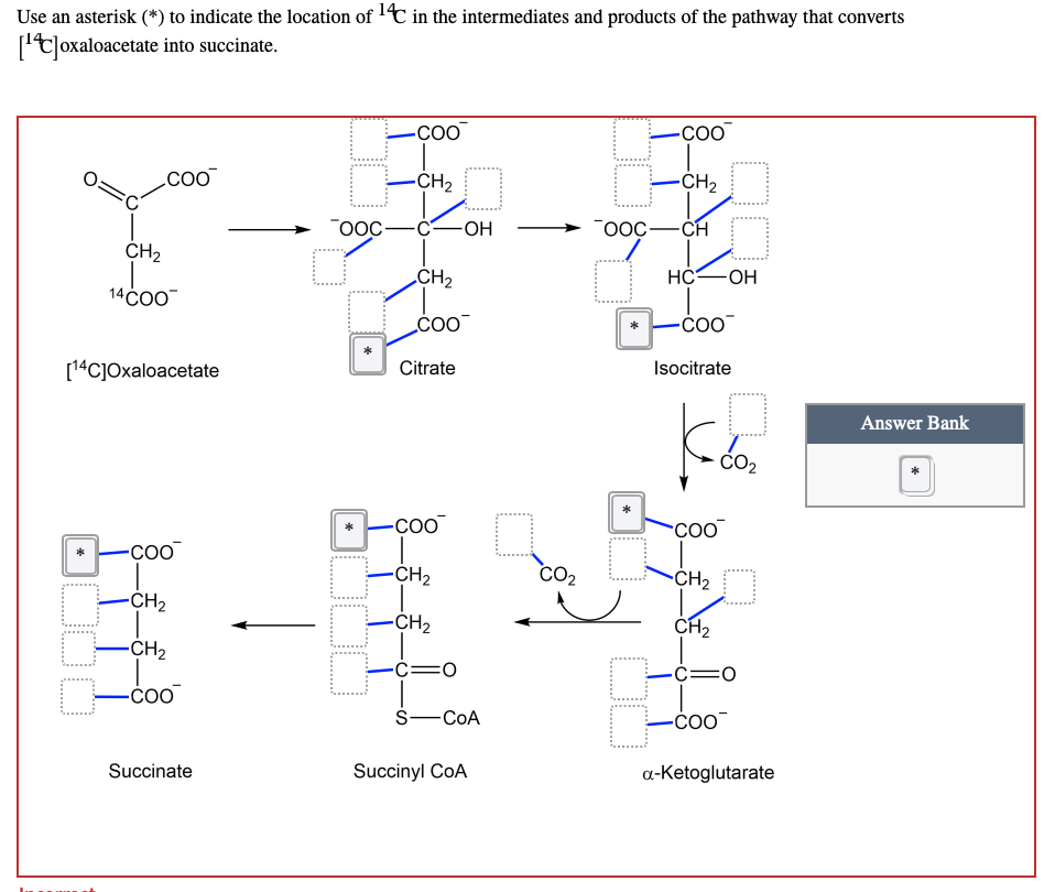 Solved Use an asterisk (**) ﻿to indicate the location of | Chegg.com