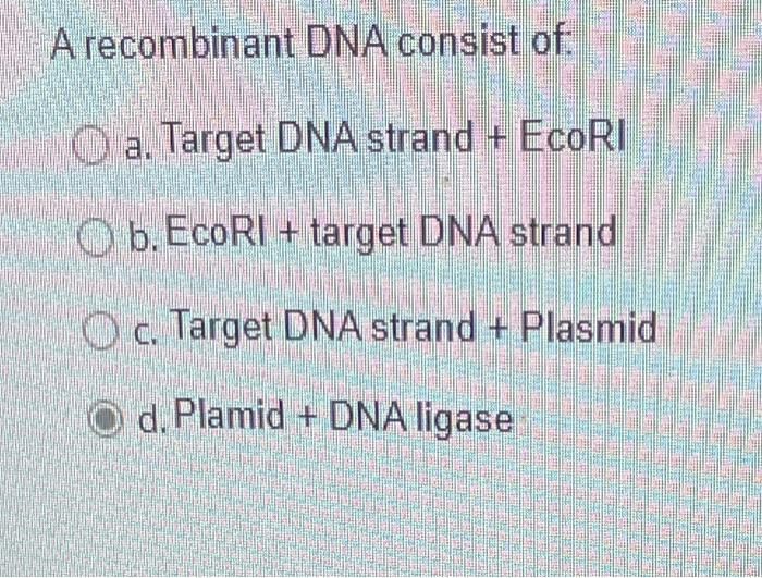 Solved A recombinant DNA consist of: a. Target DNA strand + | Chegg.com