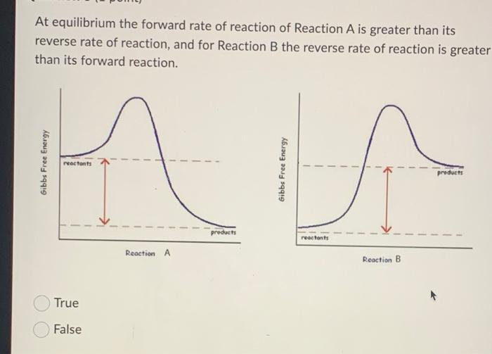 Solved At equilibrium the forward rate of reaction of | Chegg.com